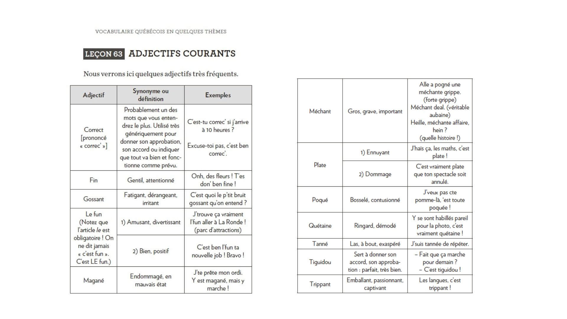Dix adjectifs en québécois - maprofdefrançais